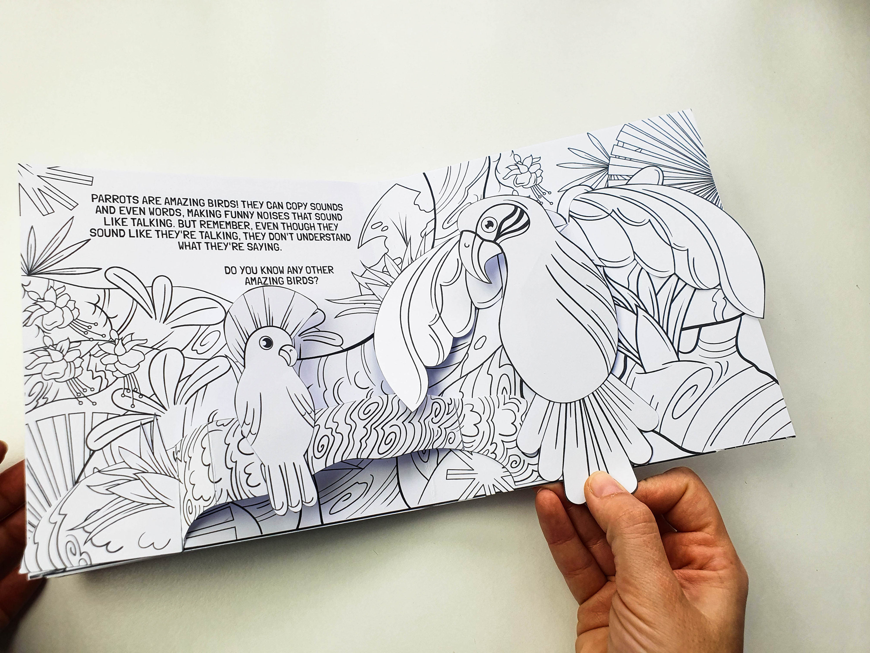 Birds DIY Coloring Pop-up Book Kit for Children, Educational Paper ...