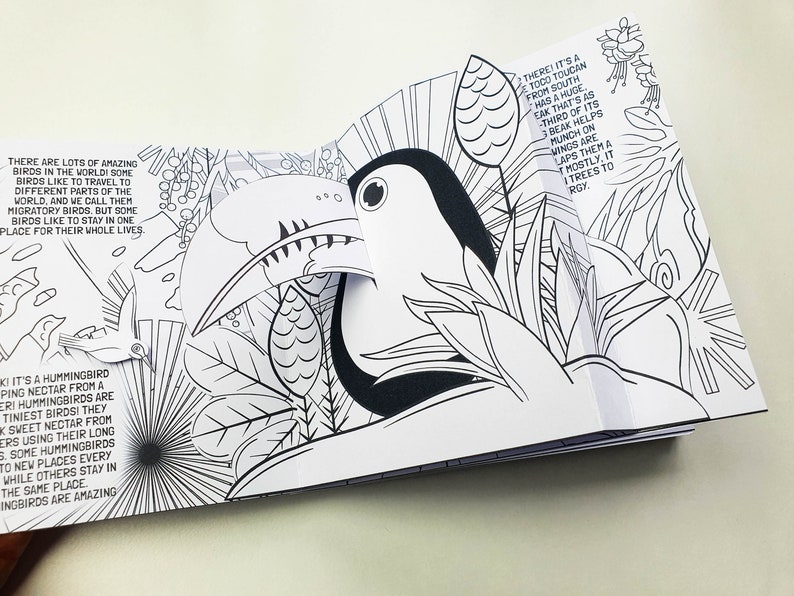 Birds DIY Coloring Pop-up Book Kit for Children, Educational Paper ...