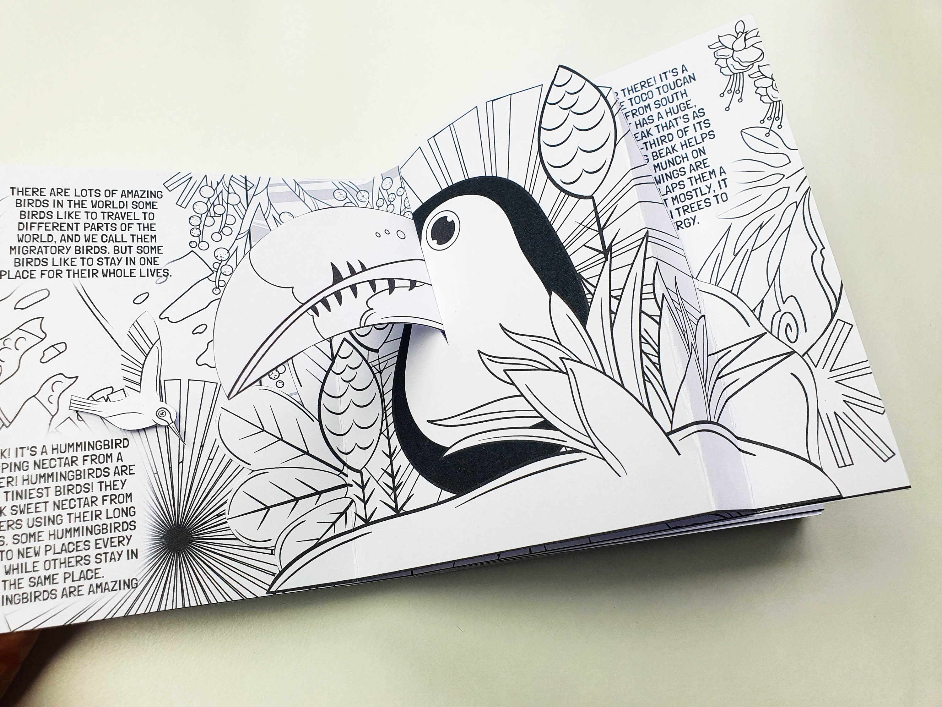 Birds DIY Coloring Pop-up Book Kit for Children, Educational Paper ...