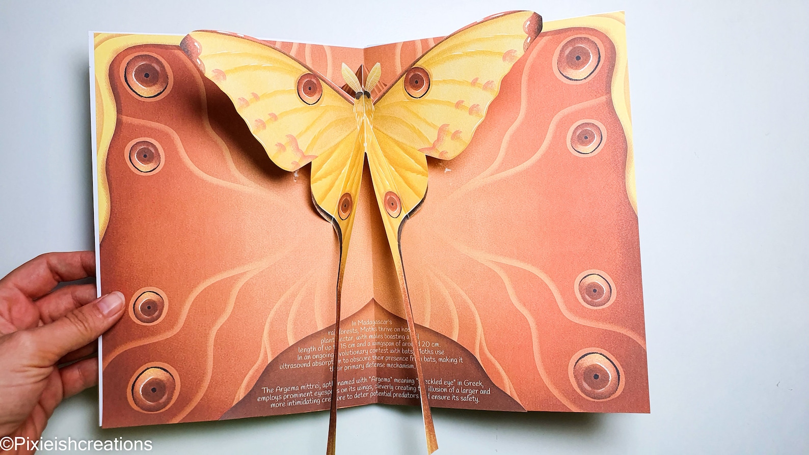 Moths DIY Pop up Book Creation Kit for Adults, DIY Pop-up Book Project ...
