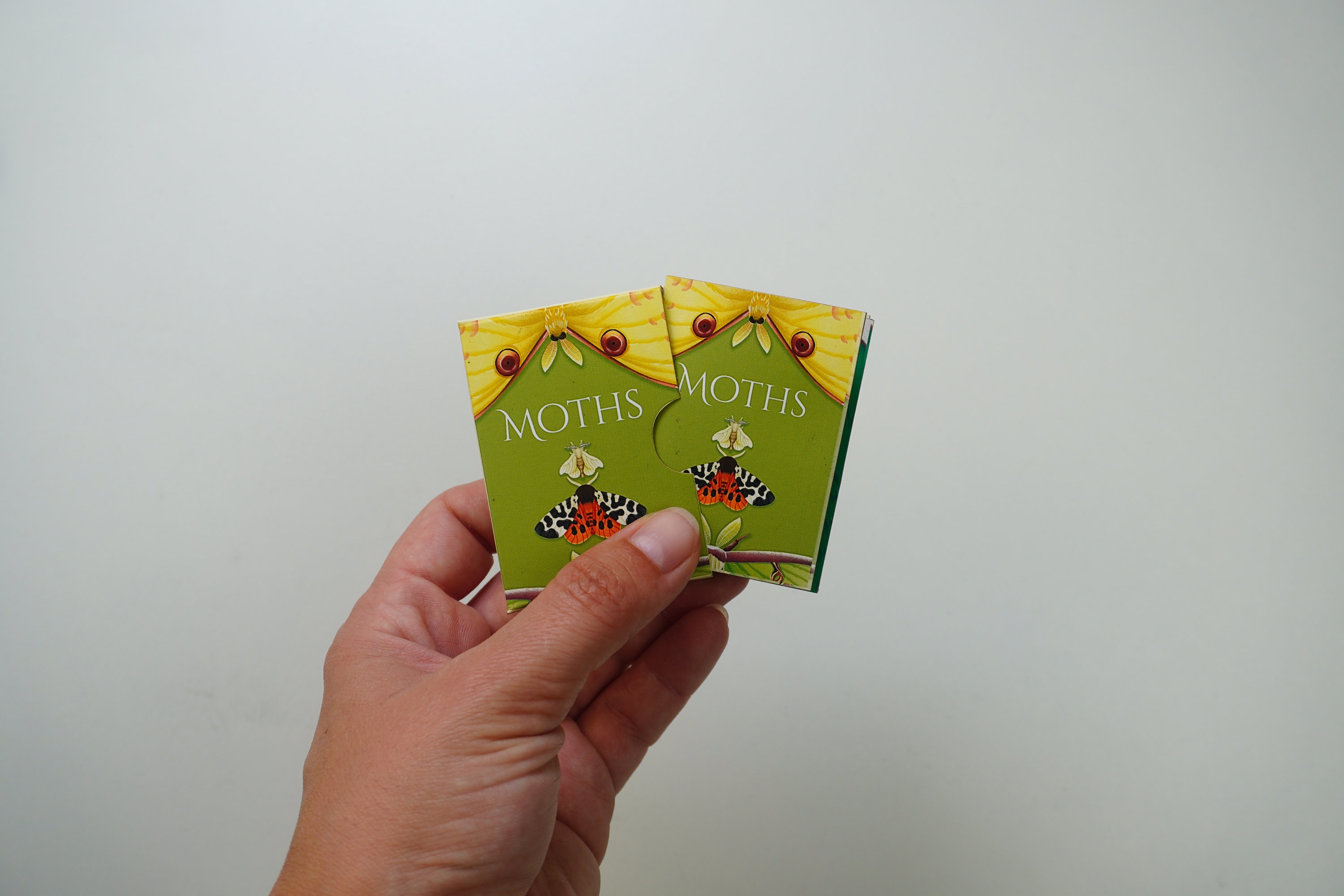 Moths Miniature Pop-up Book, Detailed Paper Craft for Adults, Make Your ...