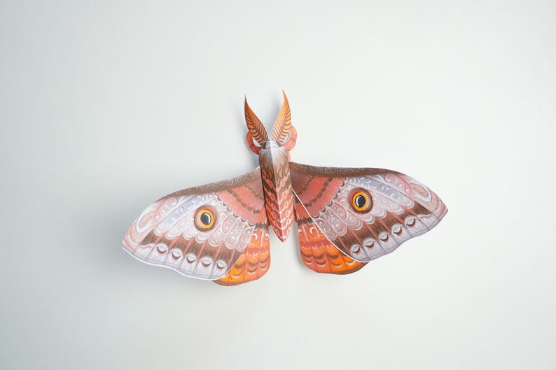 3D Emperor Moth Paper Craft: DIY Printable Template (digital Download ...