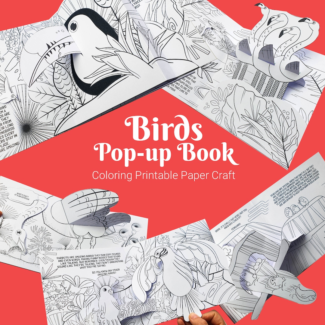 Birds DIY Coloring Pop-up Book Kit for Children, Educational Paper ...