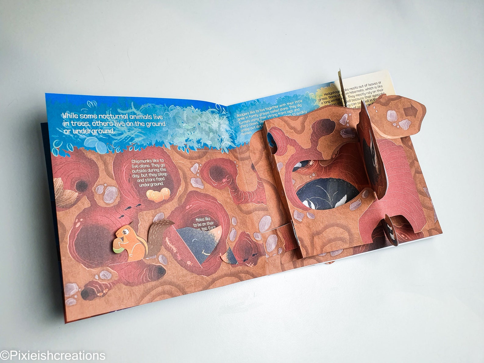 Animals Pop-up Book for Kids, Family Craft Activity, Paper Craft to ...