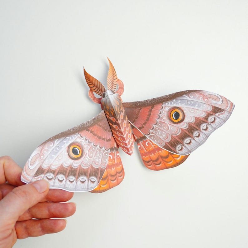 3D Emperor Moth Paper Craft: DIY Printable Template (digital Download ...