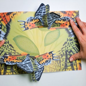 Moths DIY Pop up Book Creation Kit for Adults, DIY Pop-up Book Project ...