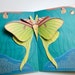 Moths DIY Pop up Book Creation Kit for Adults, DIY Pop-up Book Project ...