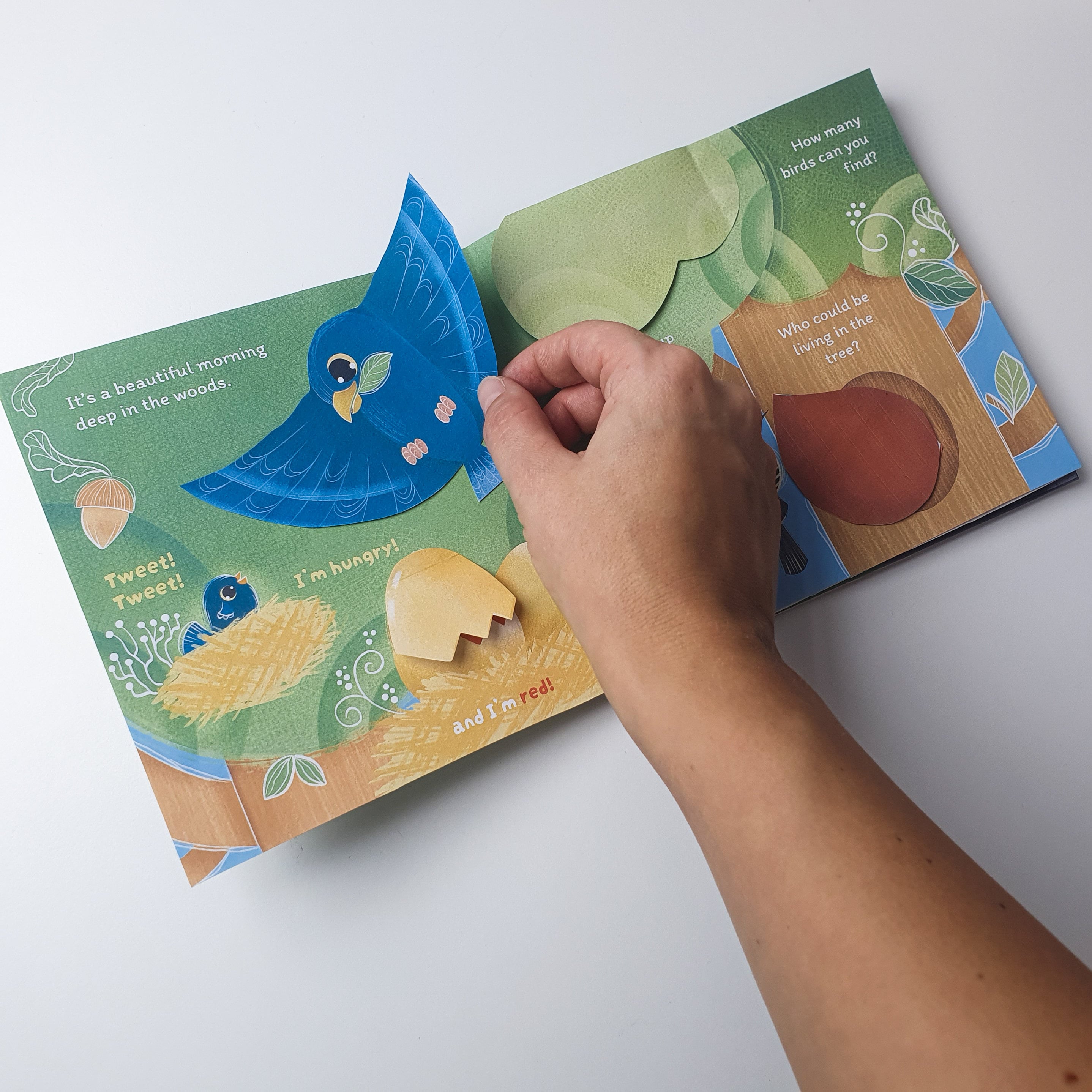 Easy DIY Lift the Flap Book for Young Children, DIY Toddler Book ...