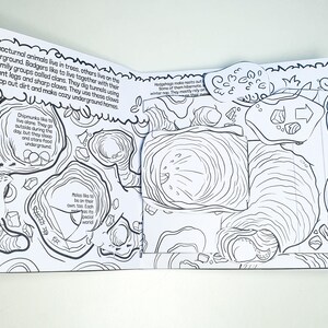 Night Animals Coloring Pop-up Book Creation Kit, Fun Coloring Kids ...