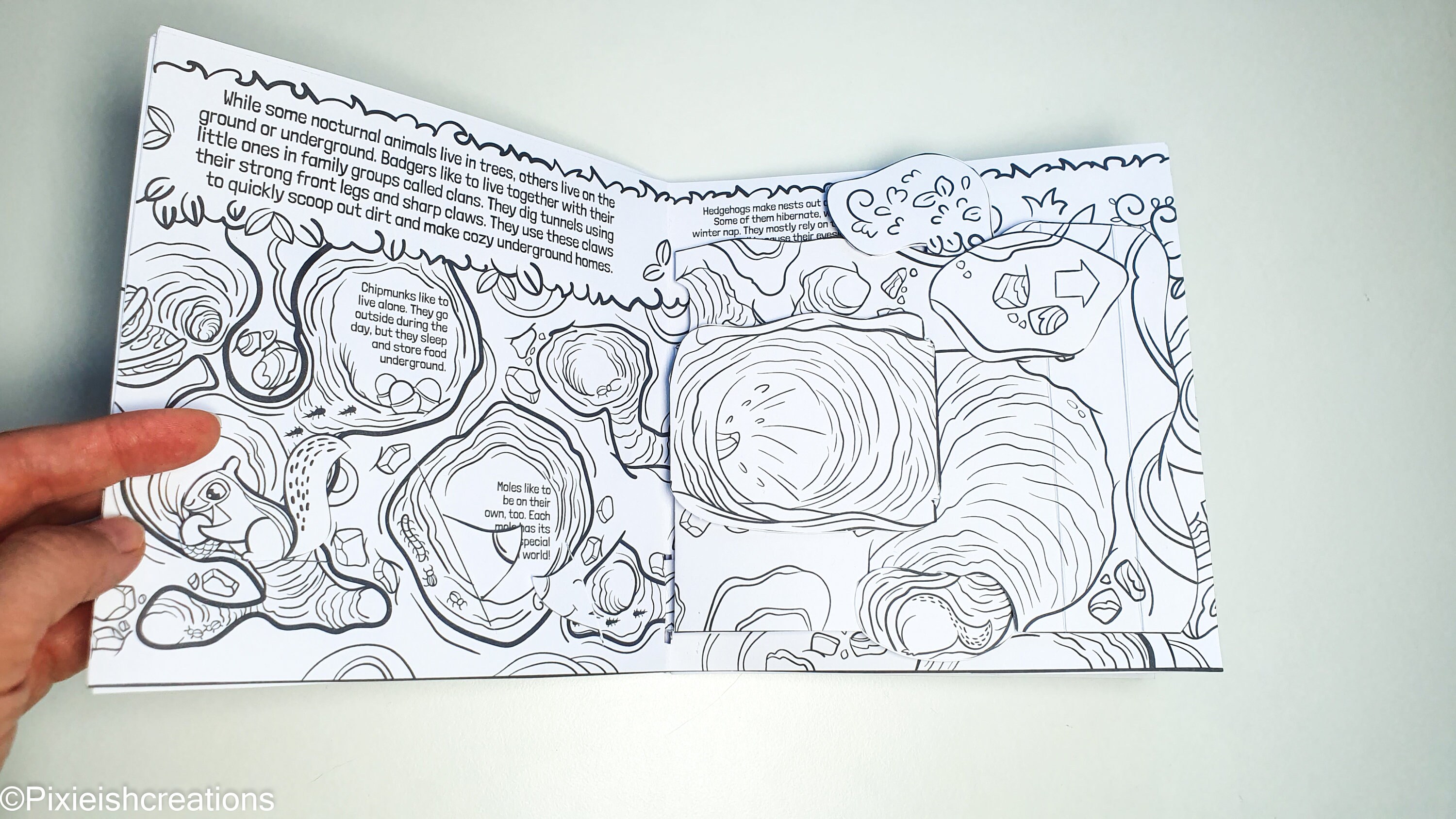 Night Animals Coloring Pop-up Book Creation Kit, Fun Coloring Kids ...