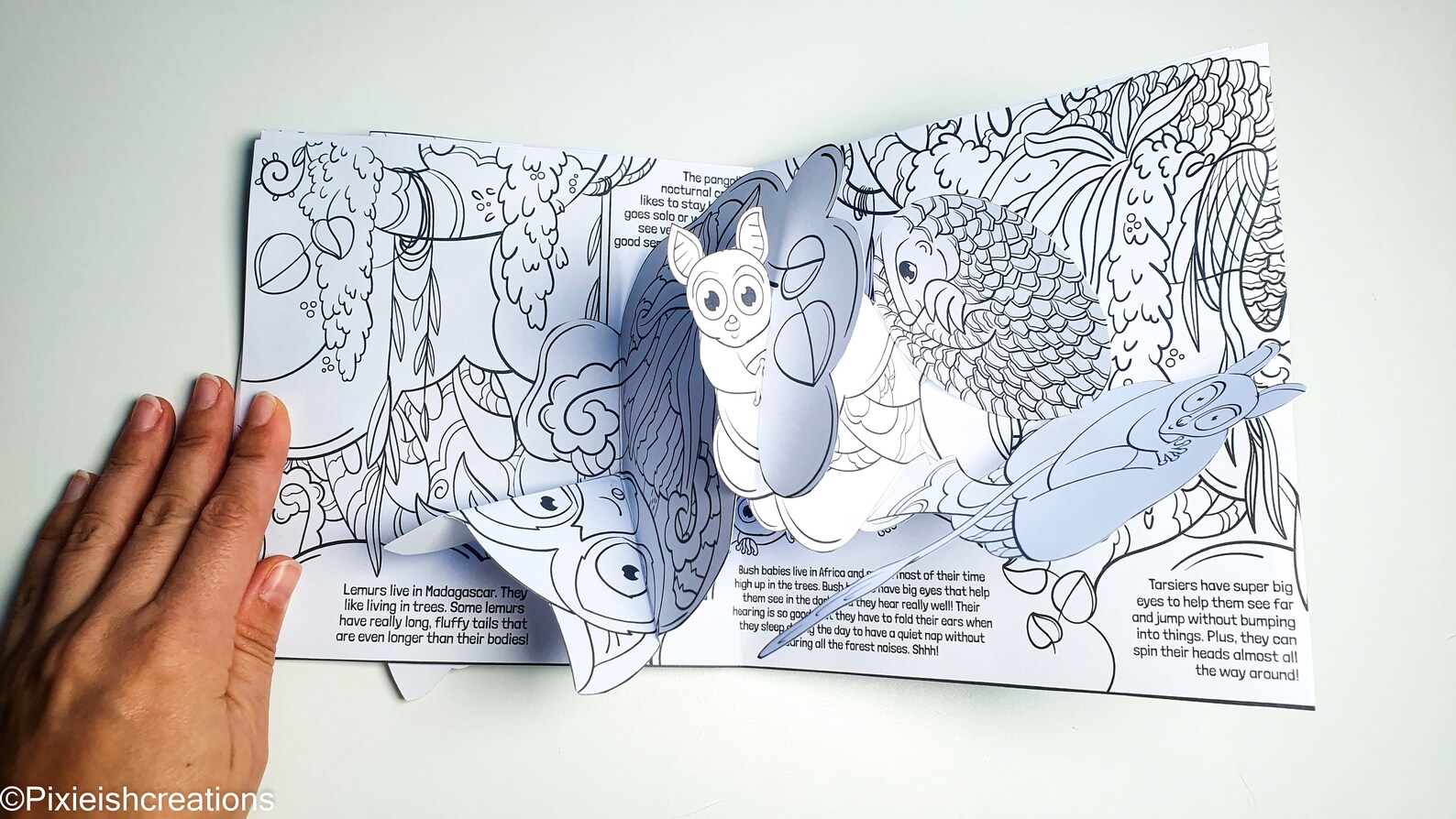 Night Animals Coloring Pop-up Book Creation Kit, Fun Coloring Kids ...