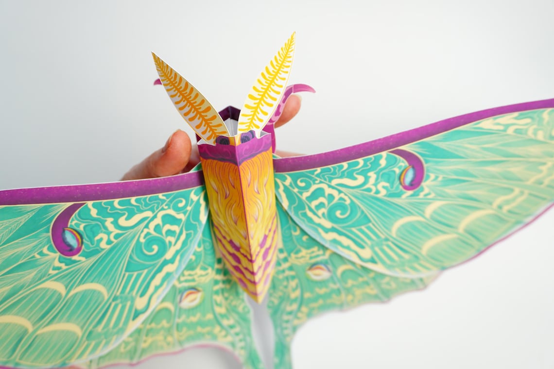 Luna Moth DIY Paper Craft: 3D Printable Template (digital Download) - Etsy