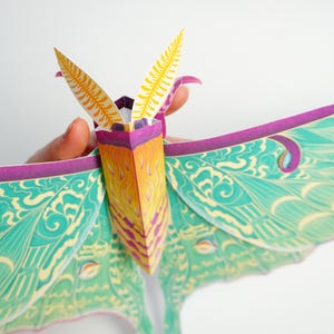 Luna Moth DIY Paper Craft Digital Download Template, 3D Moth Craft Kit ...