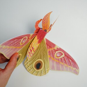 Pink Moth 3D Paper Craft Digital, DIY Downloadable Template, Printable ...