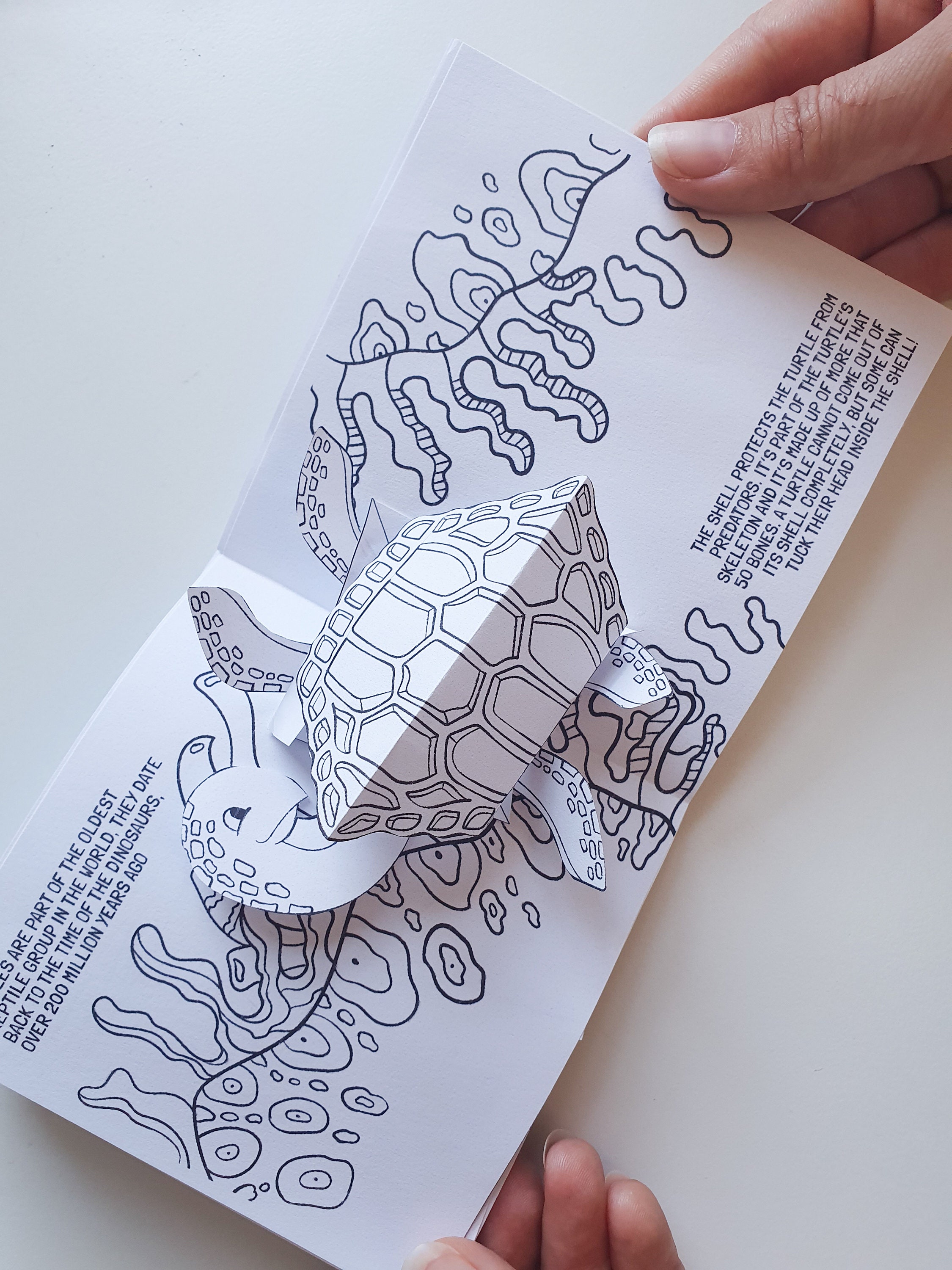Ocean Animals Coloring Pop-up Book Kit: Origami Papercraft (digital ...