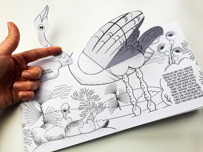 Birds DIY Coloring Pop-up Book Kit for Children, Educational Paper ...