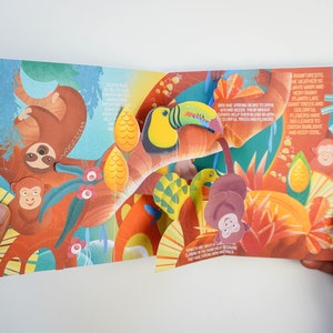 DIY Pop-up Book for Kids About Geography: Deserts, Grasslands ...