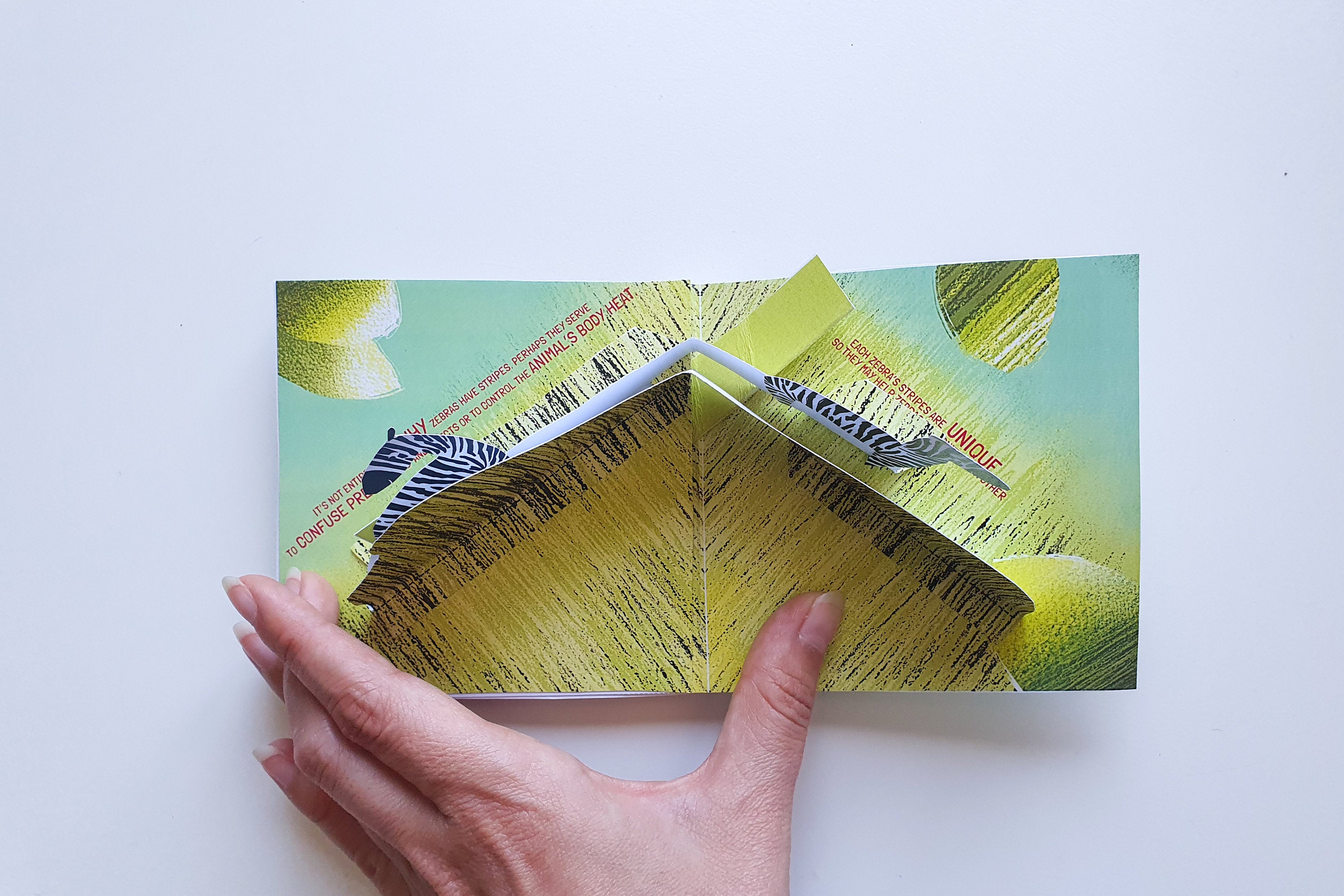 DIY Safari Animal Pop-up Book: Printable Paper Craft (digital Download ...