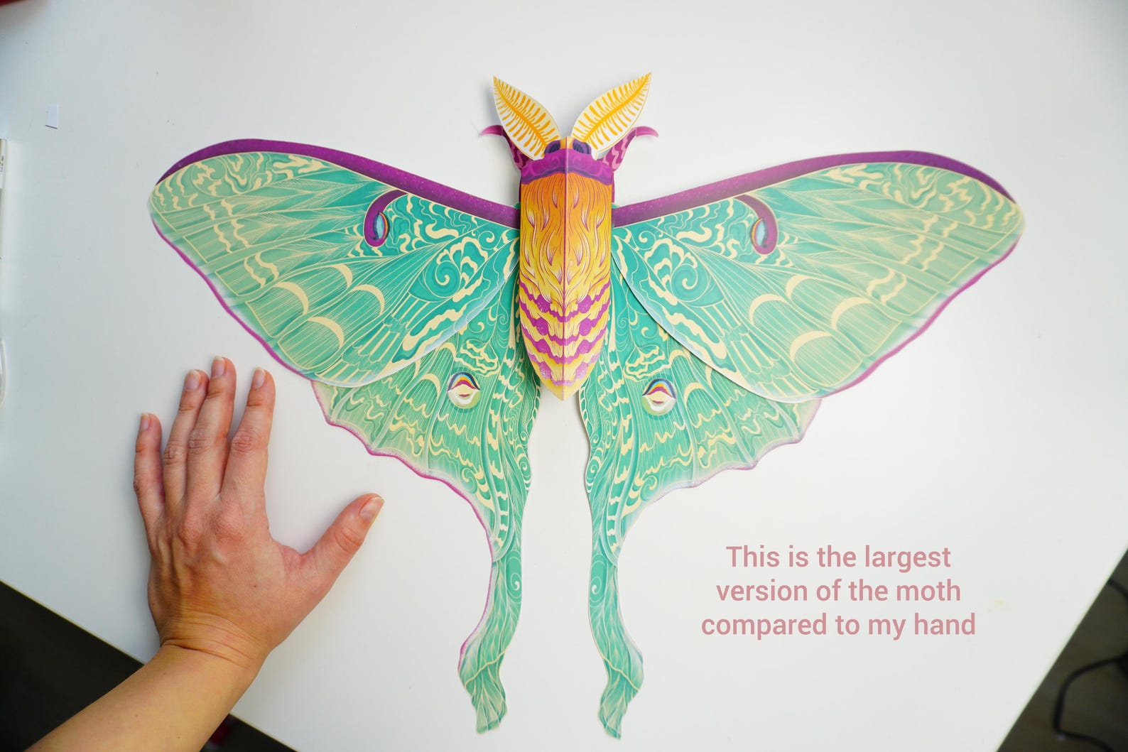 Luna Moth DIY Paper Craft: 3D Printable Template (digital Download) - Etsy