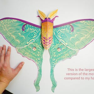 Luna Moth DIY Paper Craft Digital Download Template, 3D Moth Craft Kit ...