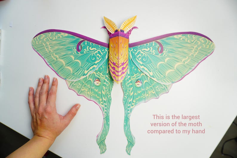 Luna Moth DIY Paper Craft: 3D Printable Template (digital Download) - Etsy