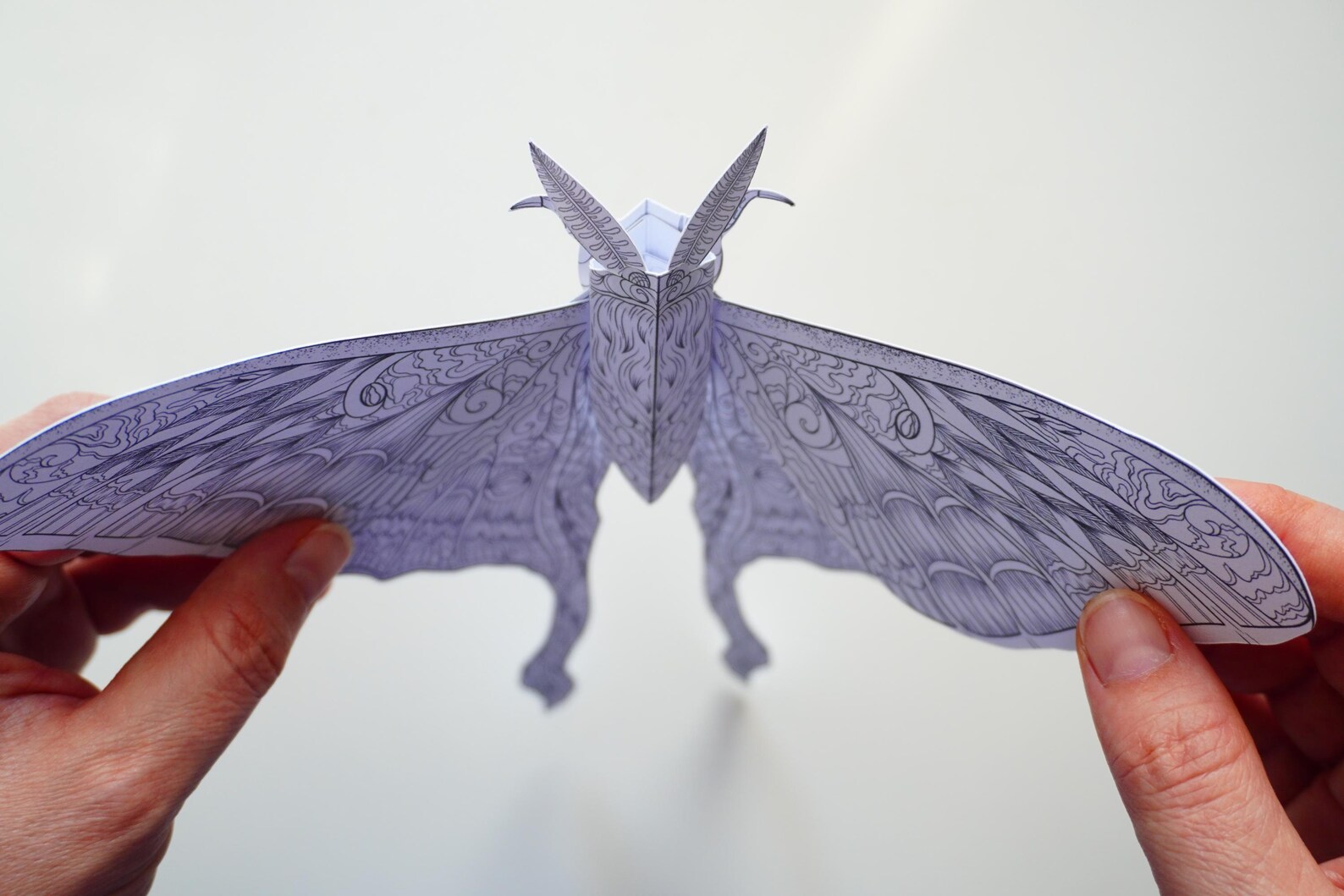 Coloring Luna Moth Paper Craft: DIY Printable Template (digital ...