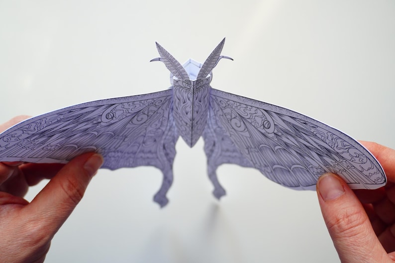 Coloring Luna Moth Paper Craft: DIY Printable Template (digital ...