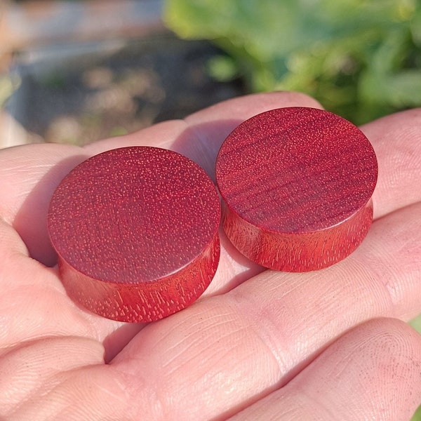 Custom Ear Gauges - Etsy