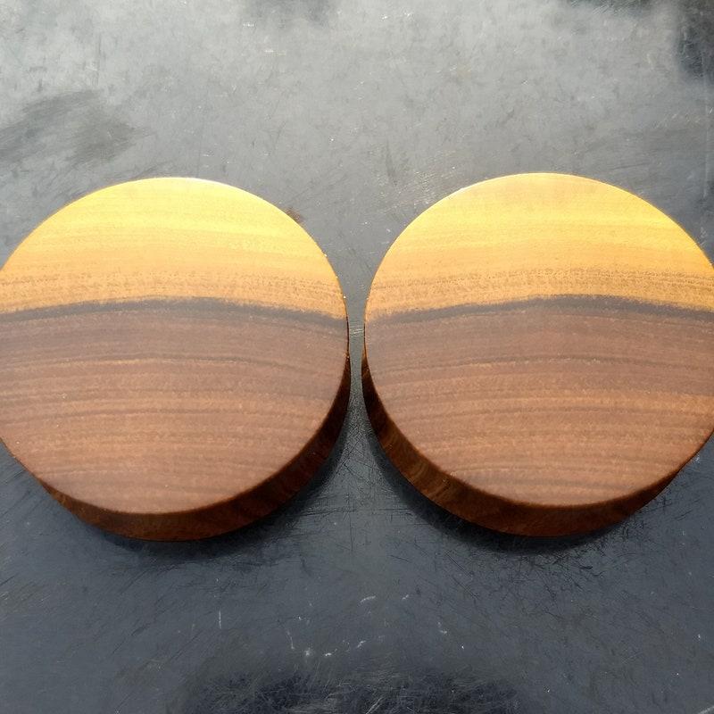 Unique Ear Plugs - Etsy