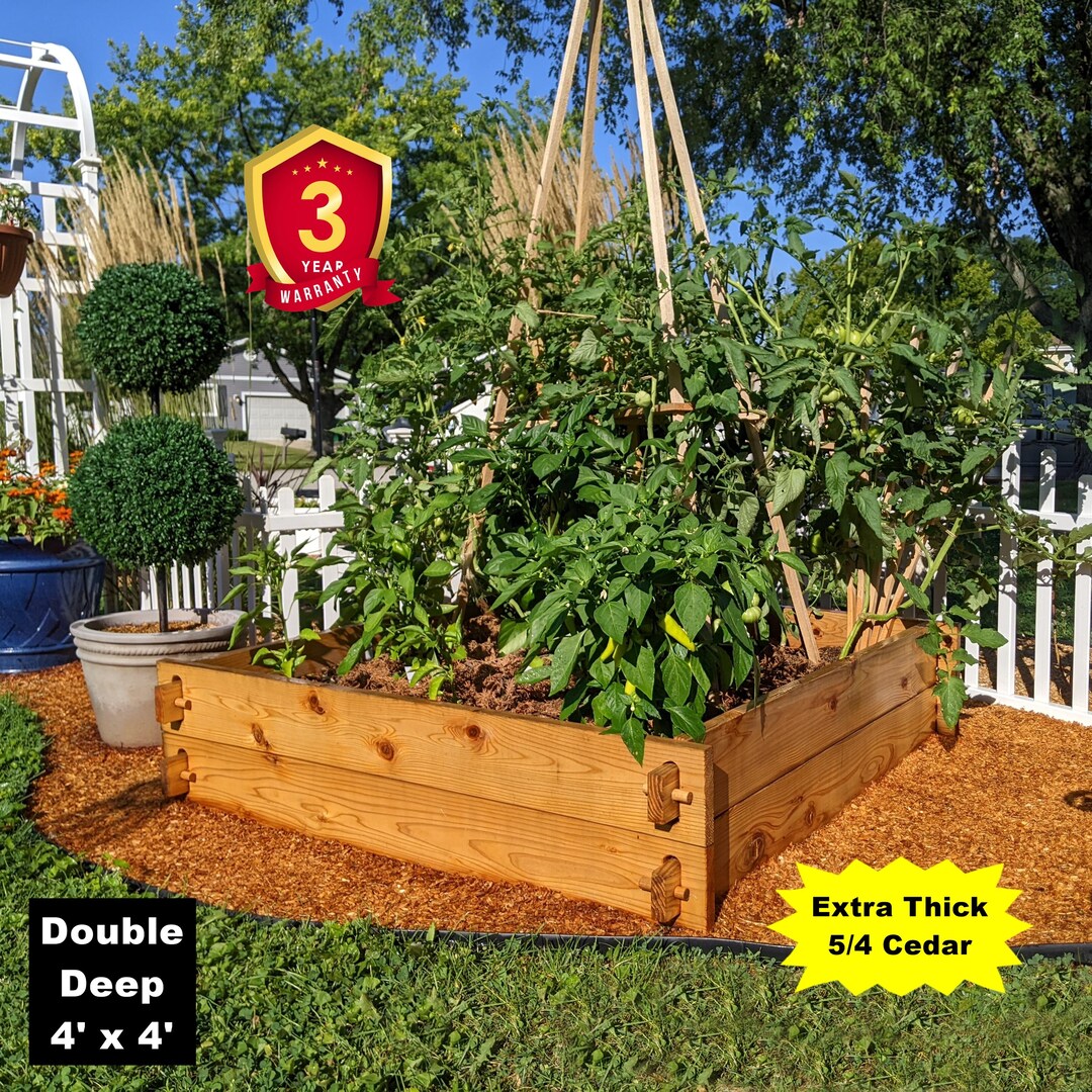 Premium Thick Cedar 4x4 Deep Raised Garden Bed Outdoor Flower Planter ...