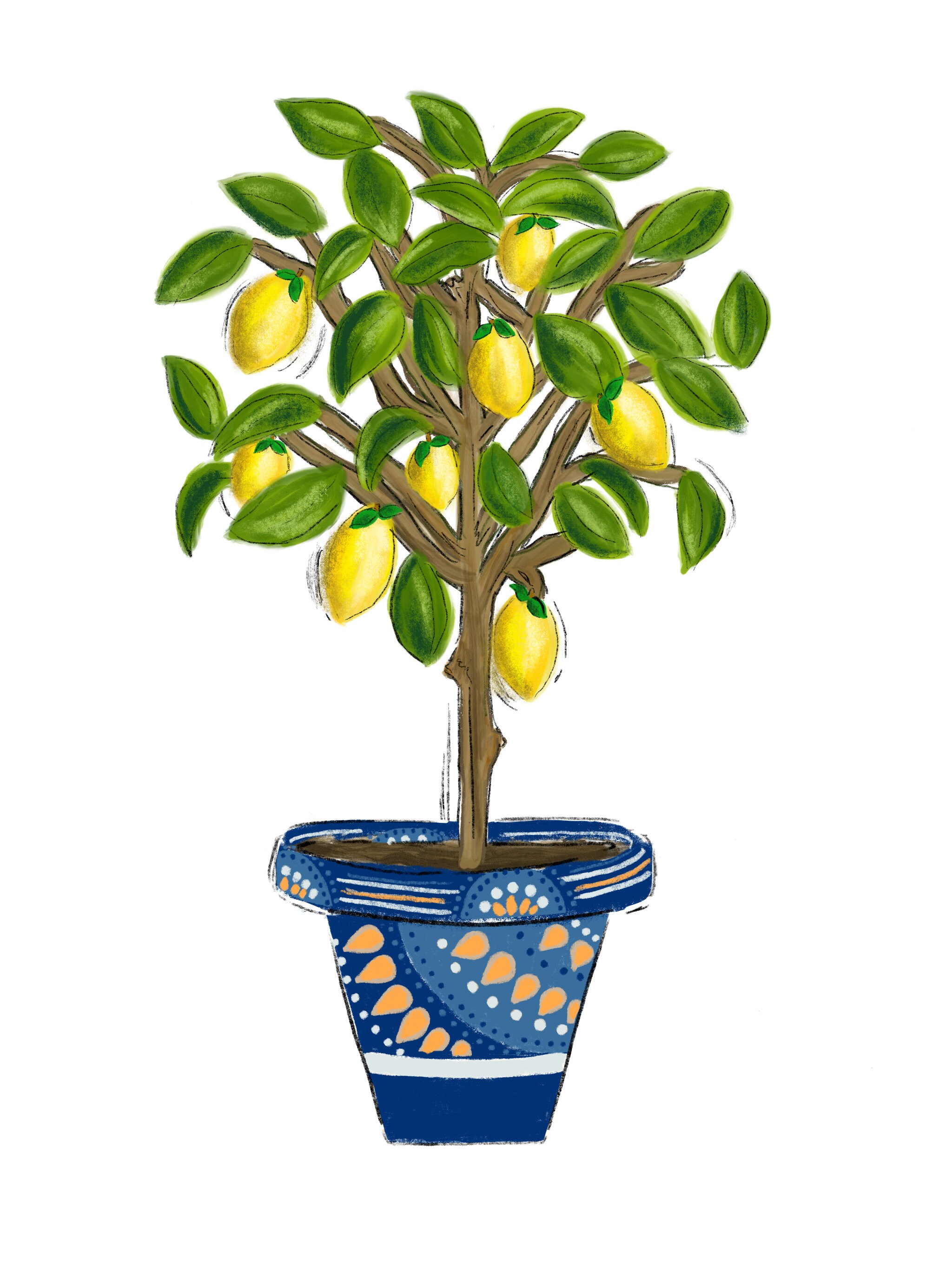 Art Print- Lemon Tree - Etsy