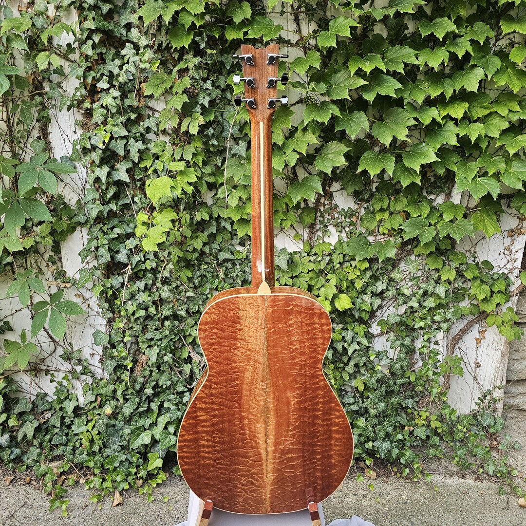 Wilhelm Guitars Quilted "brain Figure" Sapele Handmade Medium OM ...