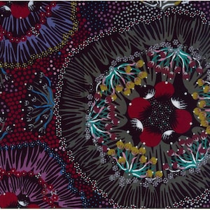 Aboriginal Art Design Apparel - Bush Plum Black BPB by Polly Wheeler ...