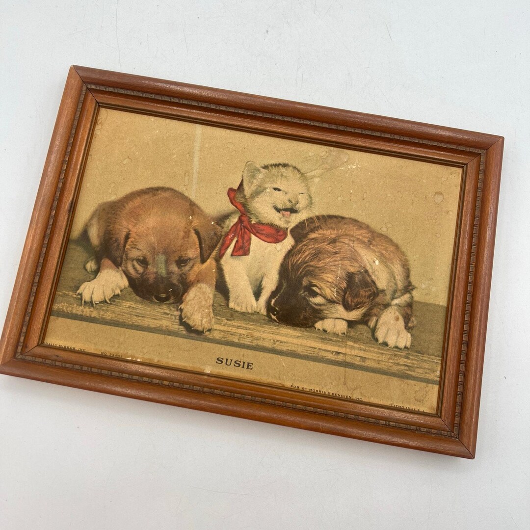 Vtg Morris Bendien SUSIE Cat Litho 3D Print Daily Mirror Puppies ...