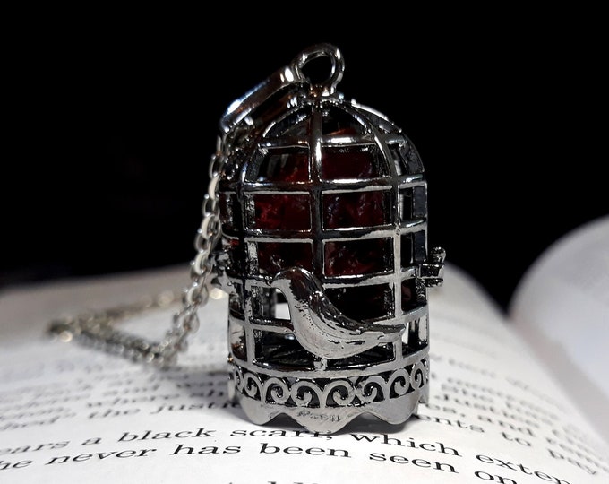 Real Heart Necklace Bird Heart in a Bird Cage Taxidermy Heart - Etsy