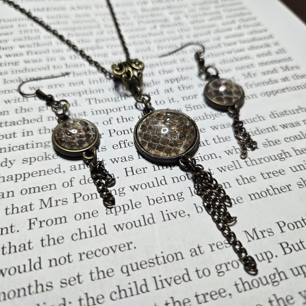 Real Snake Skin - Etsy