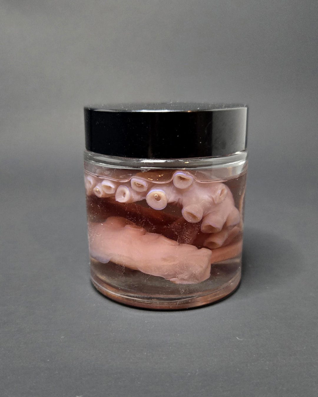 Cephalopod Curiosities: Real Octopus Tentacle Wet Specimen in Glass Jar ...