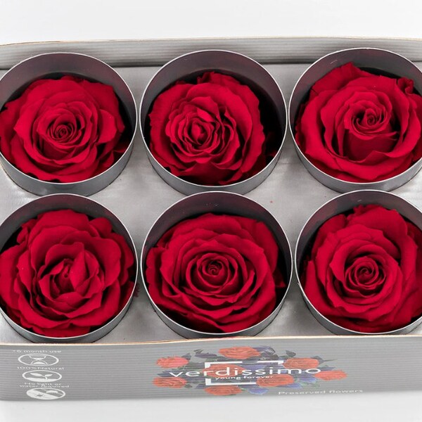 Preserved Rose Heads - Etsy