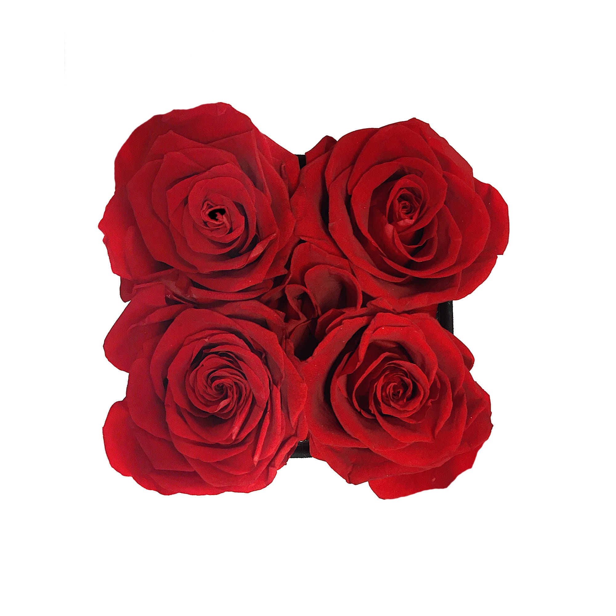 Personalized Preserved Roses Square Suede Box Real Long - Etsy