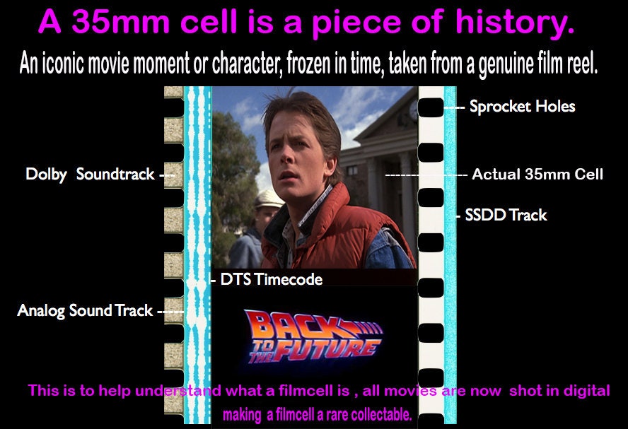 HALLOWEEN Cast Signed Horror Classic Original 35mm Film Cell - Etsy