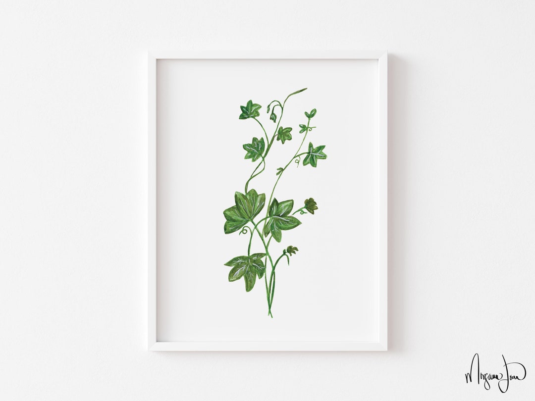 Watercolor Ivy Botanical Art Print – Nature-inspired Wall Art, Greenery ...