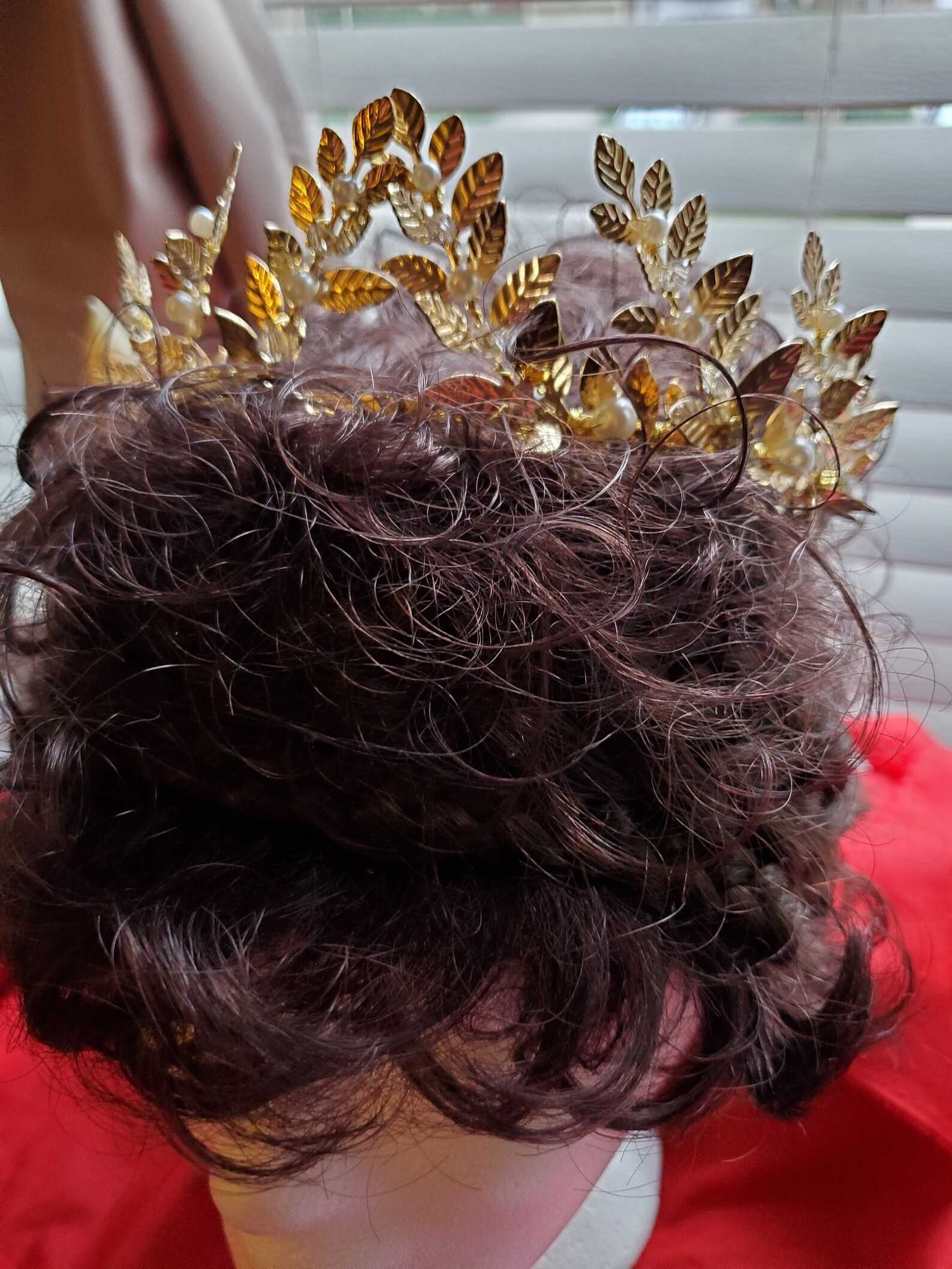 T-0022 Vintage Leaves Neoclassical Regency Tiara Georgian - Etsy