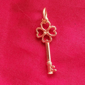 PE-0201 - Horseshoe or Four Leaf Clover Key Charms - Gold, Pendant ...