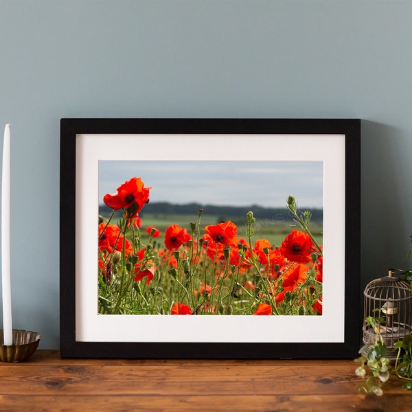 Poppy Print - Etsy UK