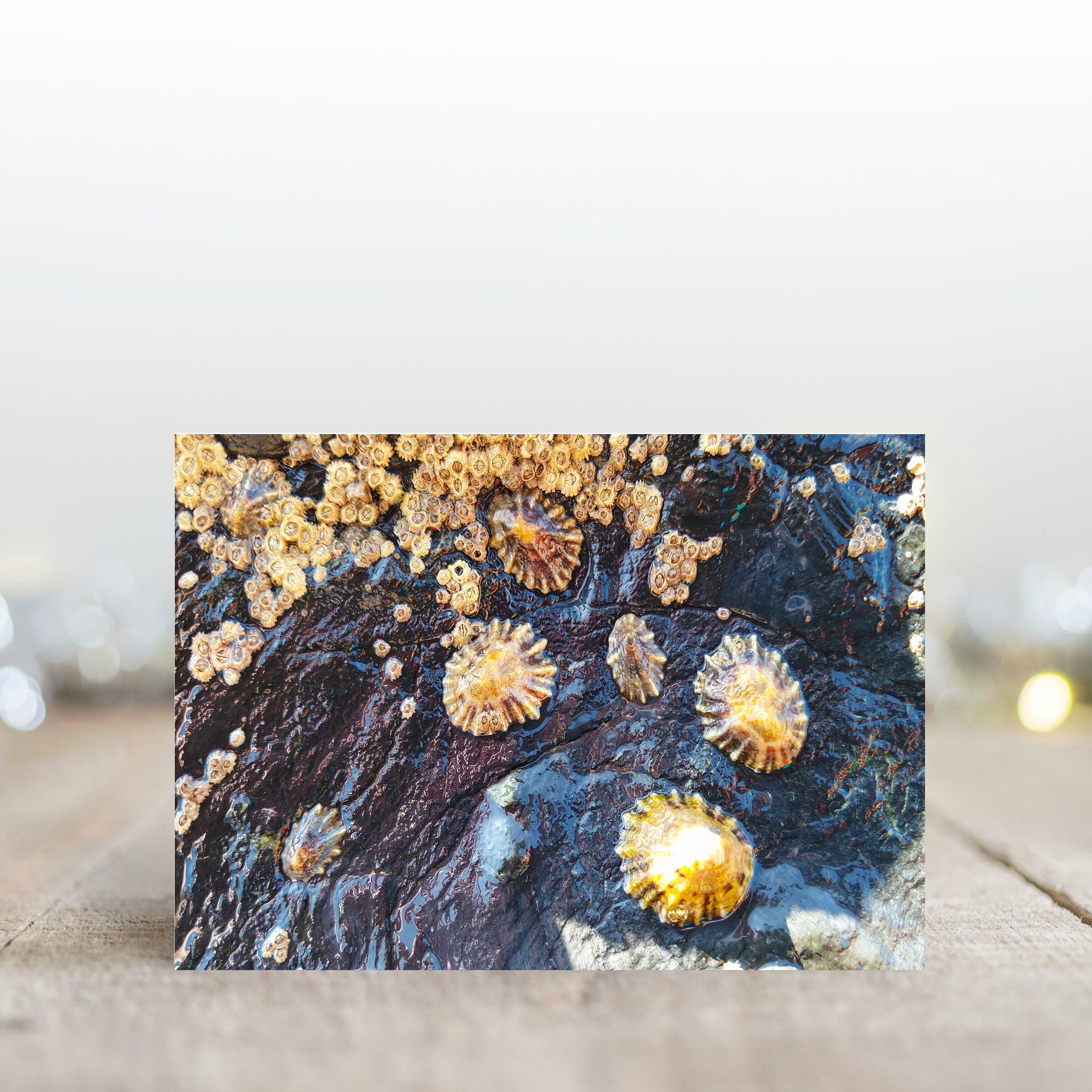 Beach Greeting Cards, Coastal Cards Multipack - Etsy UK