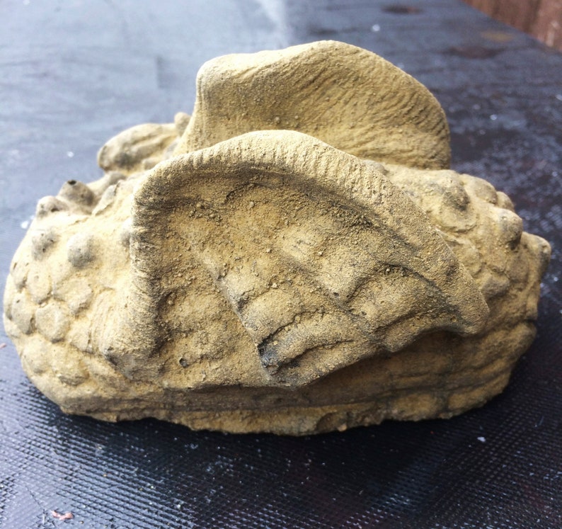 Baby Dragon Ornament spike Stone Home or Garden - Etsy UK