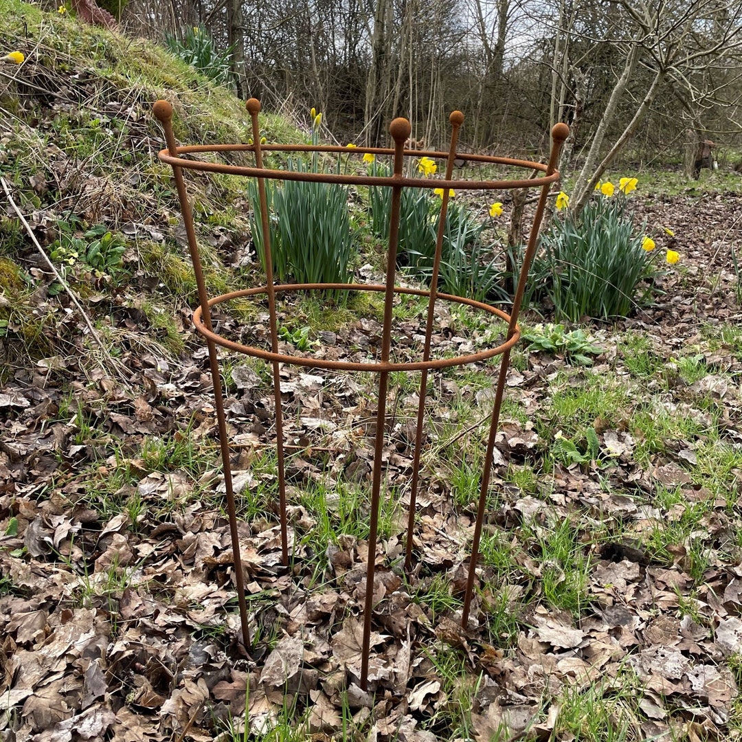 Peony or Herbaceous Support Rusty Metal Plant Stand 78cm H - Etsy UK