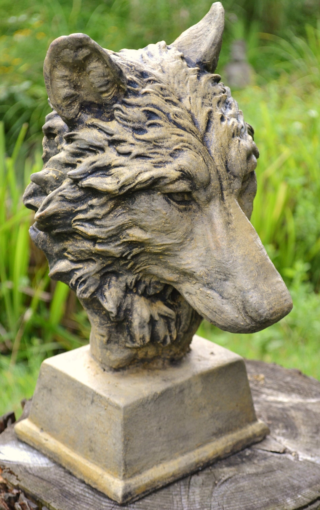 Wolf Head Bust - Etsy