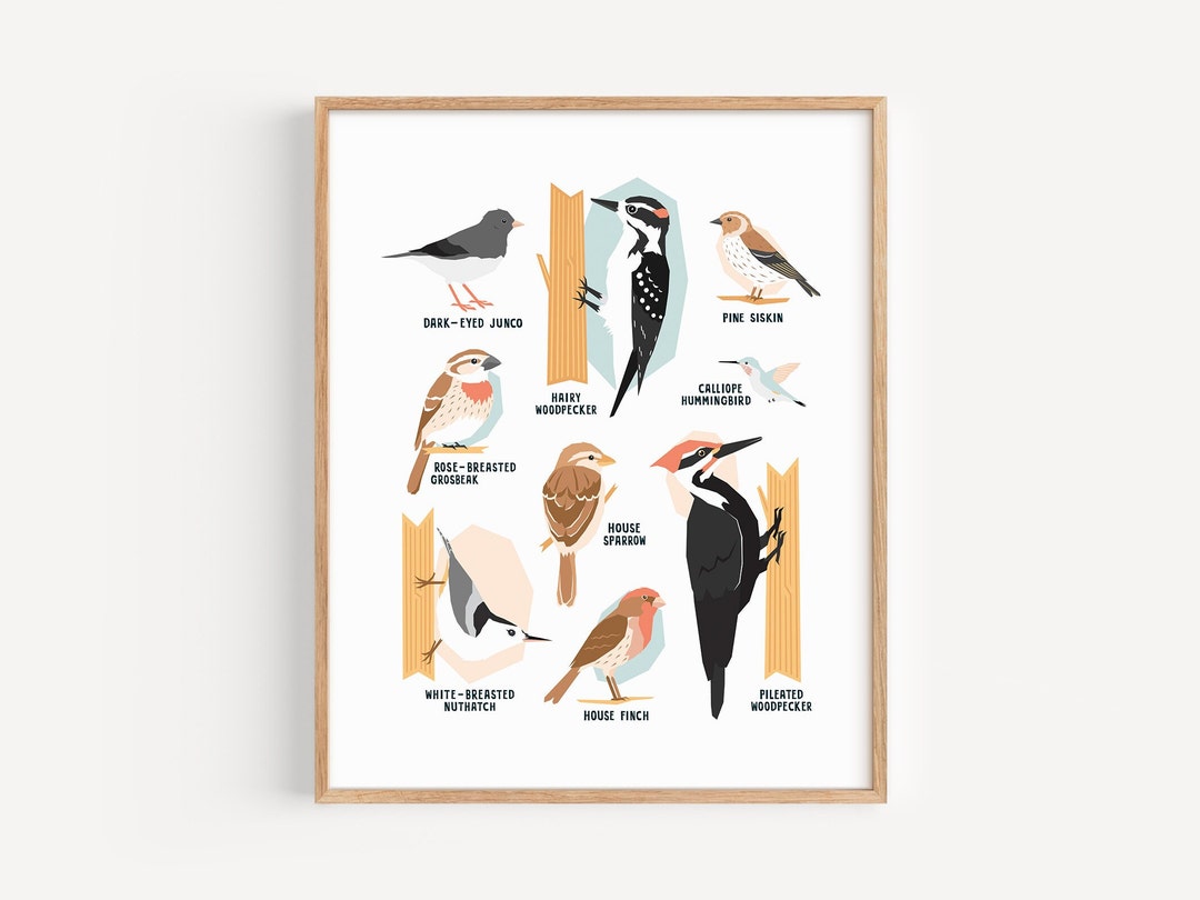 Birds of North America // 8x10", 11x14" or 12x16" Illustrated Animal ...