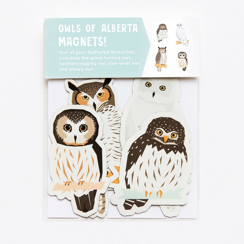 Owl Magnets - Etsy